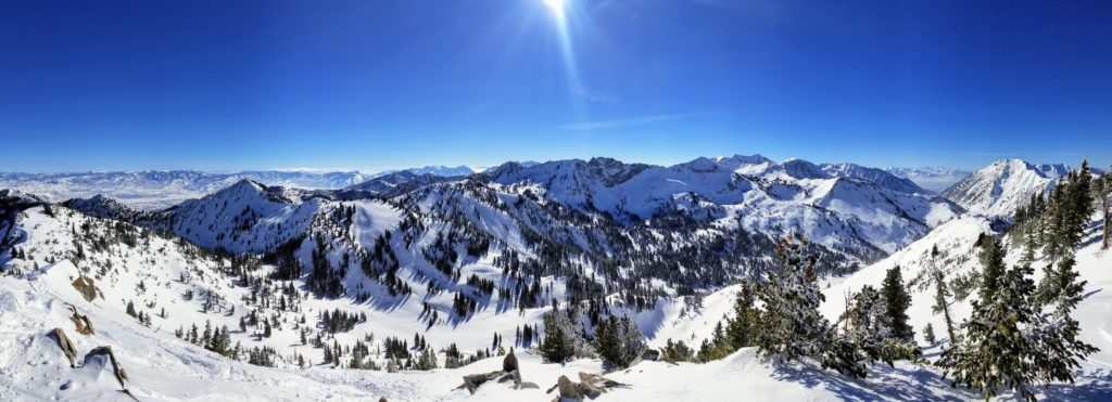 Contact - Alta Pine Capital